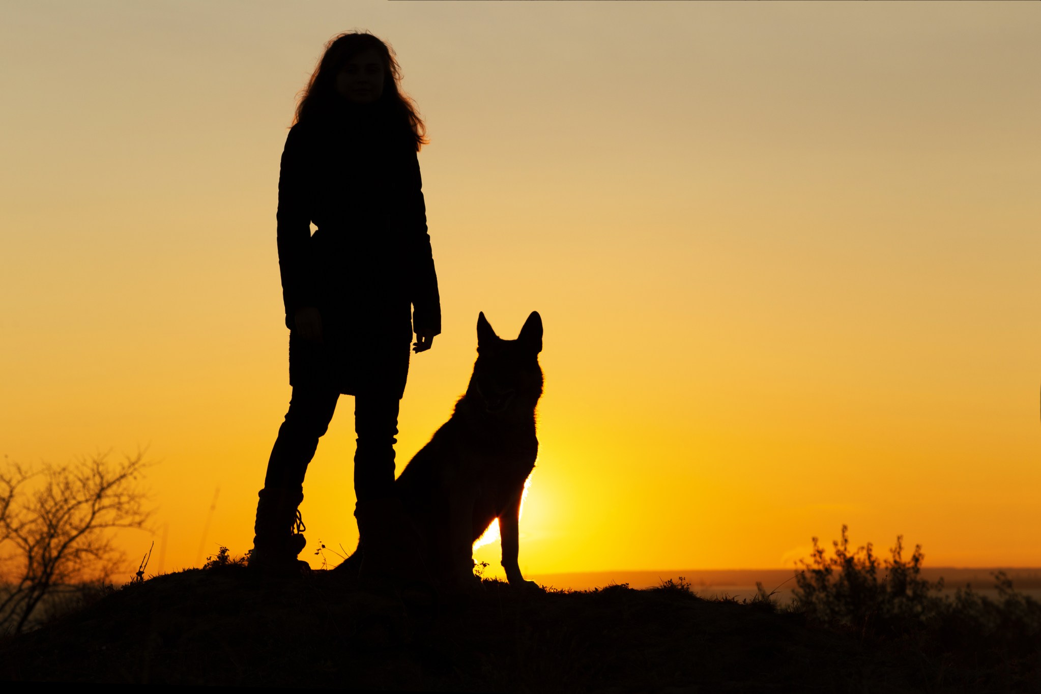 Author Jennifer Chase | International Award-Winning Author & Criminologist
